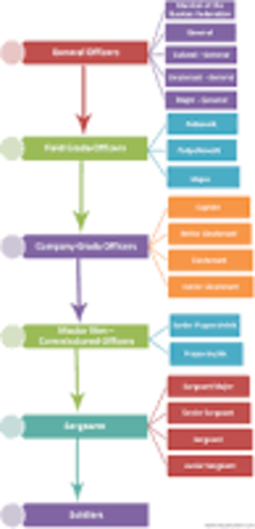 Peter the Great timeline | Timetoast timelines