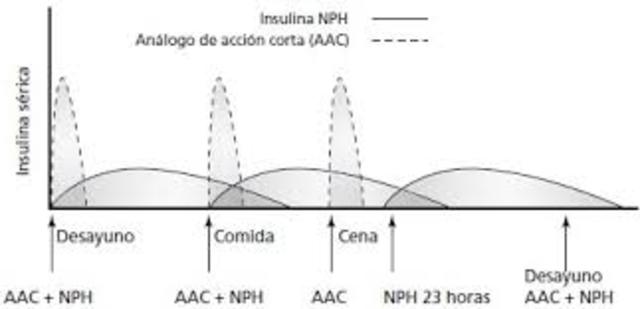 Linea epistemológica de Diabetes e insulina timeline | Timetoast