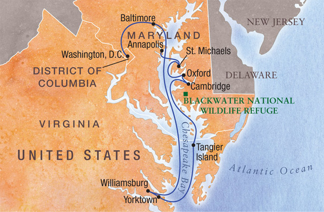 1301 Timeline project | Timetoast timelines