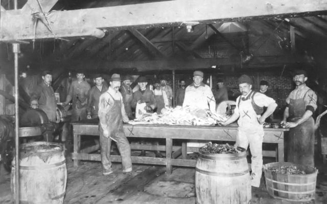 progressive era timeline | Timetoast timelines