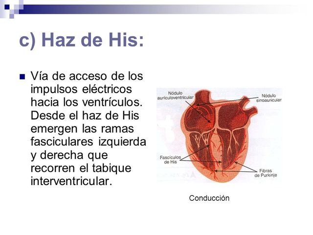 HISTORIA DE LA CIRUGÍA CARDIOVASCULAR timeline | Timetoast timelines