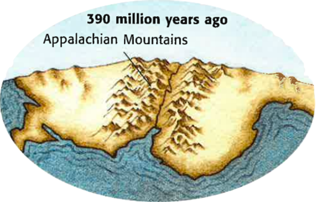 Earth's History timeline | Timetoast timelines