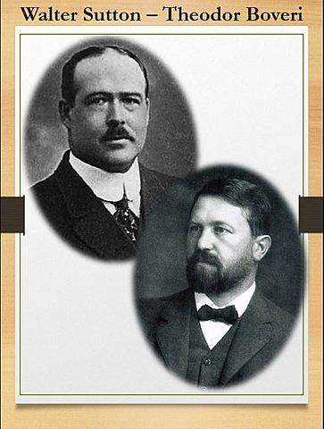 Οι επιστήμονες του DNA... timeline | Timetoast timelines