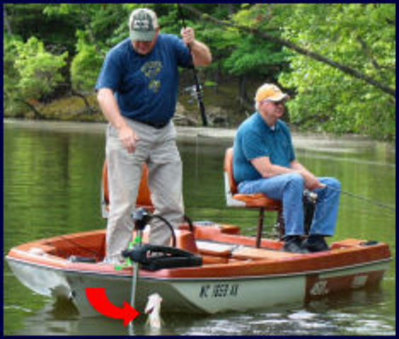 fishbyte.net timeline | Timetoast timelines