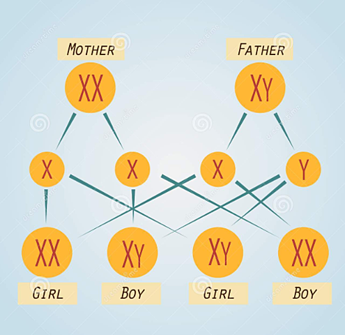 Historia de la genetica timeline | Timetoast timelines