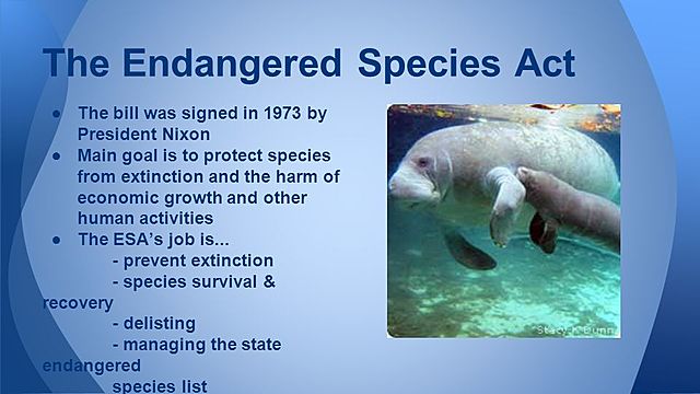 The 1970's timeline | Timetoast timelines