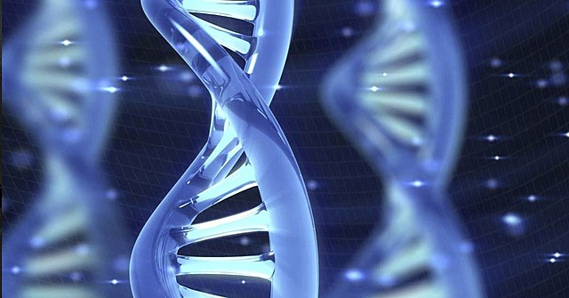 genoma humano timeline | Timetoast timelines