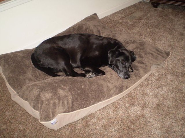 My Life timeline | Timetoast timelines