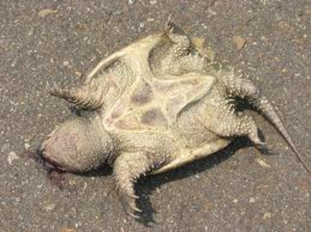 Zacharys Life timeline | Timetoast timelines