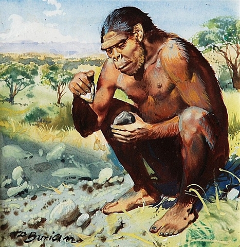 La Evolución de los Homínidos timeline | Timetoast timelines