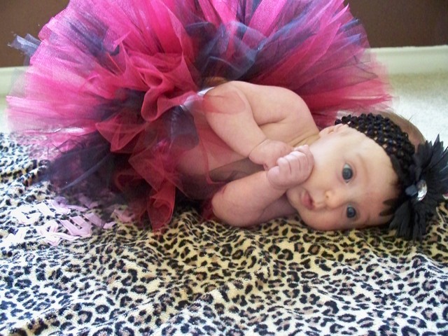 June timeline | Timetoast timelines