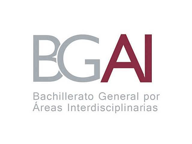 Responsabilidades del asesor BGAI timeline | Timetoast timelines