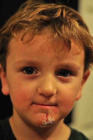 Story of me Camden Delsandro timeline | Timetoast timelines