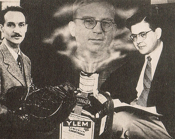 La naturaleza de la vida timeline | Timetoast timelines