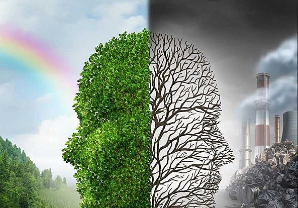 problemática ambiental Global. timeline | Timetoast timelines