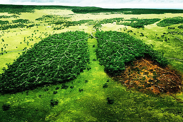 Problemática Ambiental Global timeline | Timetoast timelines