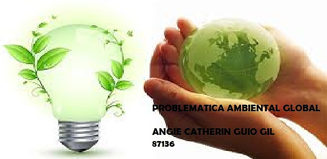 PROBLEMATICA AMBIENTAL GLOBAL timeline | Timetoast timelines