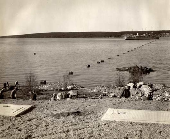 The Telephone timeline | Timetoast timelines