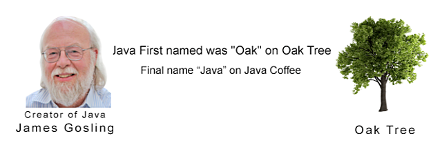 Breve Historia De Java timeline | Timetoast timelines