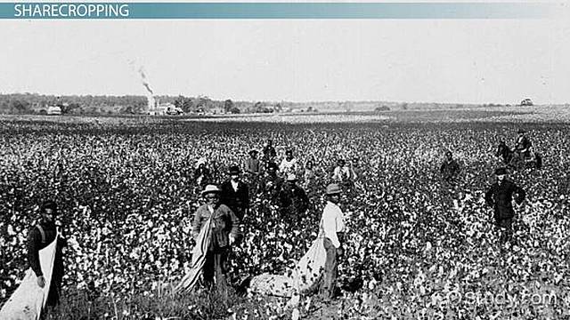 Gilded Age Problems timeline | Timetoast timelines