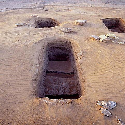 The Evolution of Zoos timeline | Timetoast timelines