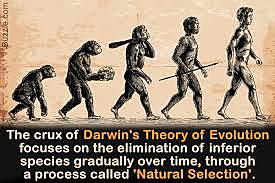 Charles Darwin timeline | Timetoast timelines