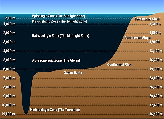 Ocean Exploration Timeline | Timetoast timelines