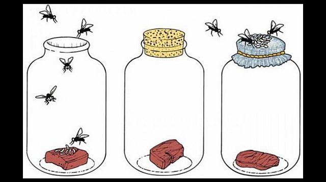 Historia de la Parasitología timeline | Timetoast timelines