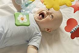 Lactante mayor timeline | Timetoast timelines