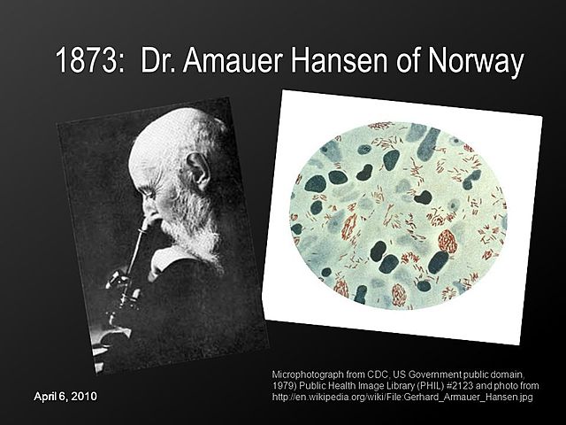 Historia de las Enfermedades Transmisibles timeline | Timetoast