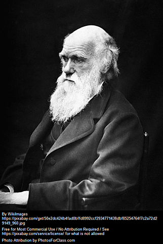 Charles Darwin timeline | Timetoast timelines