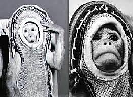 Space Exploration 3-4 timeline | Timetoast timelines