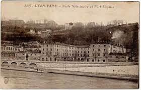 The history of veterinarians timeline | Timetoast timelines