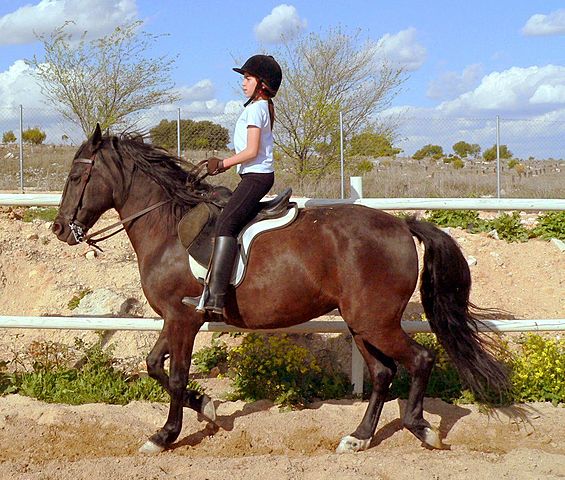 DIARIO DE UNA CHICA LOCA POR LOS CABALLOS. Katrina Kahler timeline | T