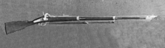 Firearms Timeline, Guns from 1850-today | Timetoast timelines