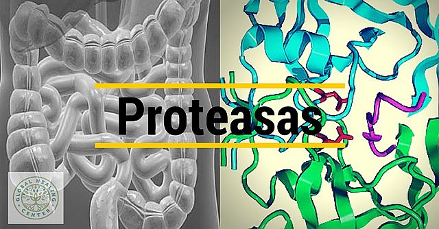 Historia de la Enzimología timeline | Timetoast timelines