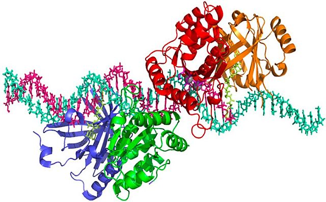 HISTORIA DE LA ENZIMOLOGÍA timeline | Timetoast timelines