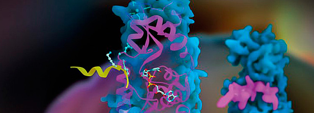Historia de la Enzimología timeline | Timetoast timelines