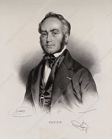 Enzimología timeline | Timetoast timelines