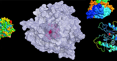 Enzimología timeline | Timetoast timelines