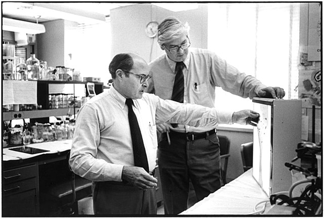 Avances en el conocimiento del ADN timeline | Timetoast timelines