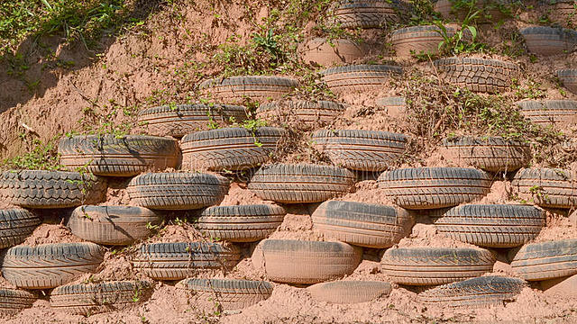 Deforestation | Timetoast timelines