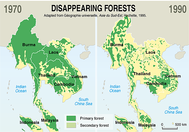 Deforestation timeline | Timetoast timelines