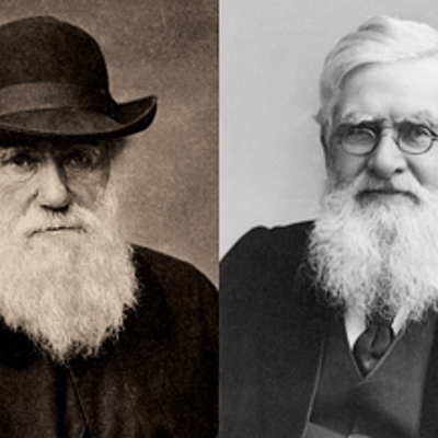 linea de tiempo: biografia de Darwin timeline | Timetoast timelines