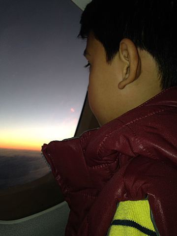 Stefano Castillo timeline | Timetoast timelines