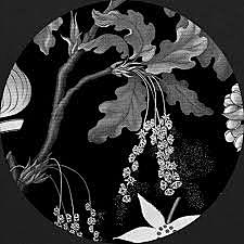 BIOQUIMICA, STEPHANY CAMELO timeline | Timetoast timelines