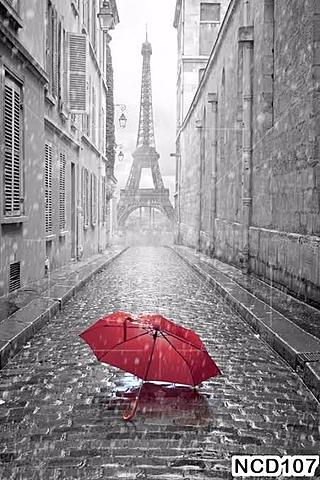 History work Bruno Rubens EM6 timeline | Timetoast timelines