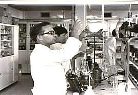 Stem Cell Developments Throughout History timeline | Timetoast