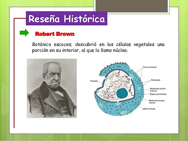 LINEA DE TIEMPO DE LA TEORÍA CELULAR timeline | Timetoast timelines