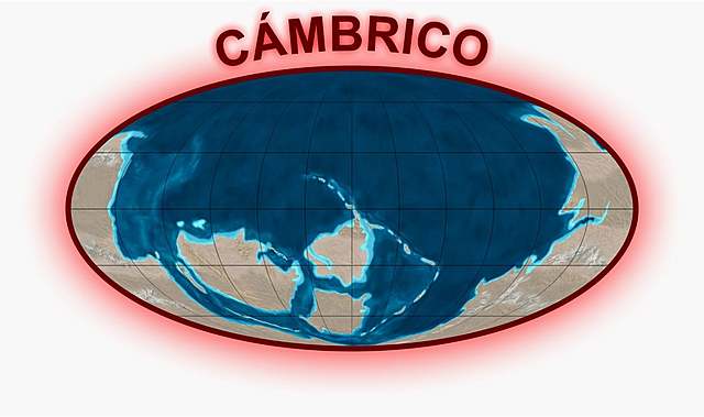 El tiempo geológico- Era paleozoica 290-490 timeline | Timetoast
